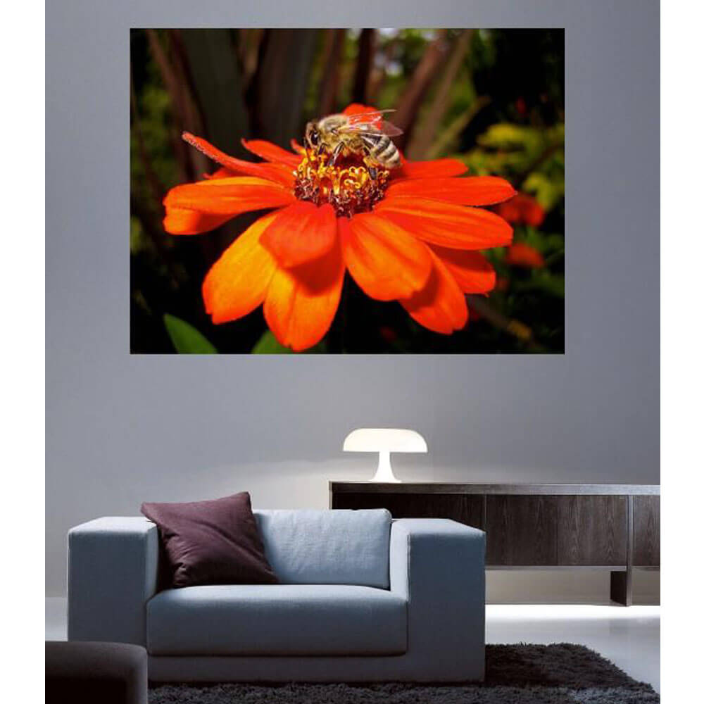 Arena Pollen Nation Wall Decal Installed