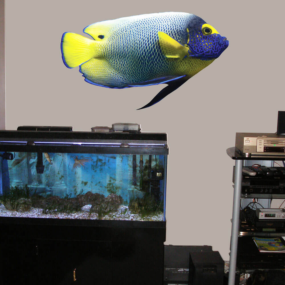 Wallhogs Angel Fish Wall Decal Installed