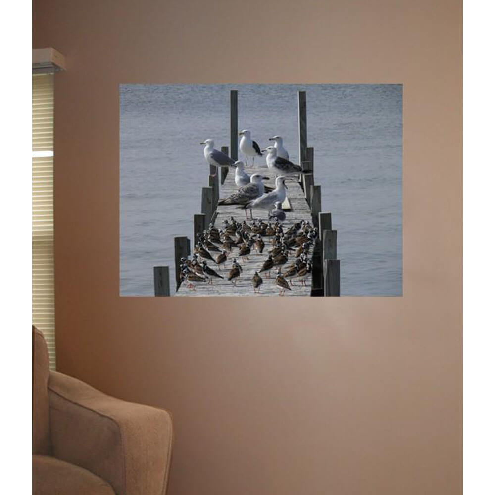 Animal Tourism Birds on Dock Glossy Poster Installed
